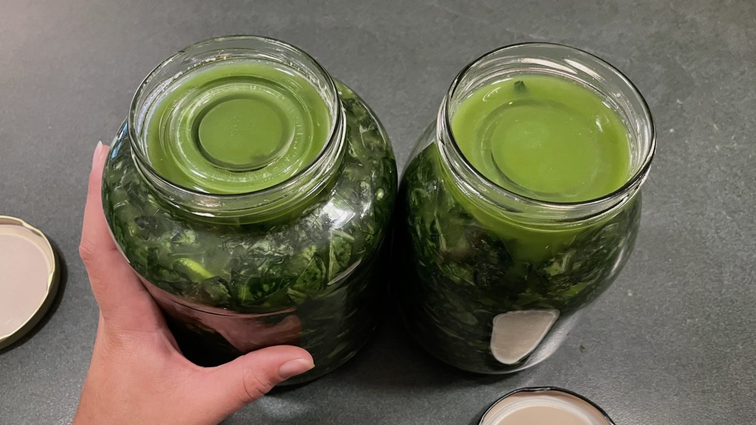 The Best Fermentation Weights | Our Tropical Soil